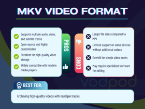 MKV File Format (Matroska): Definition, Uses, History – Vodpod